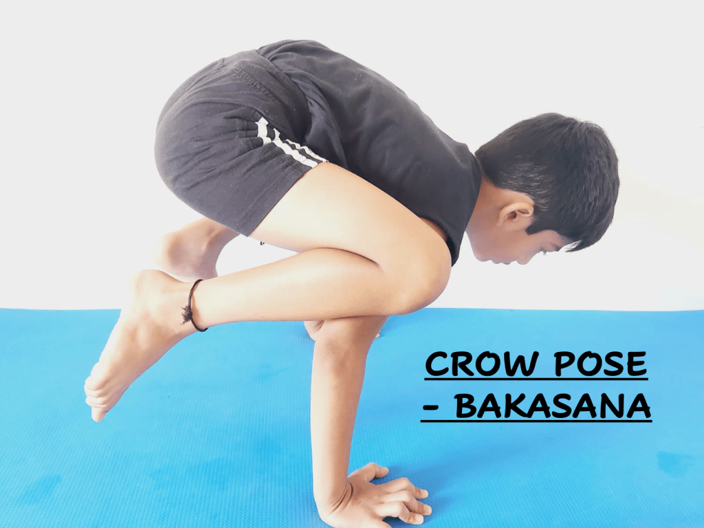 Crow Pose | How to do Crow Pose in Yoga | Bakasana - Startup Cooking